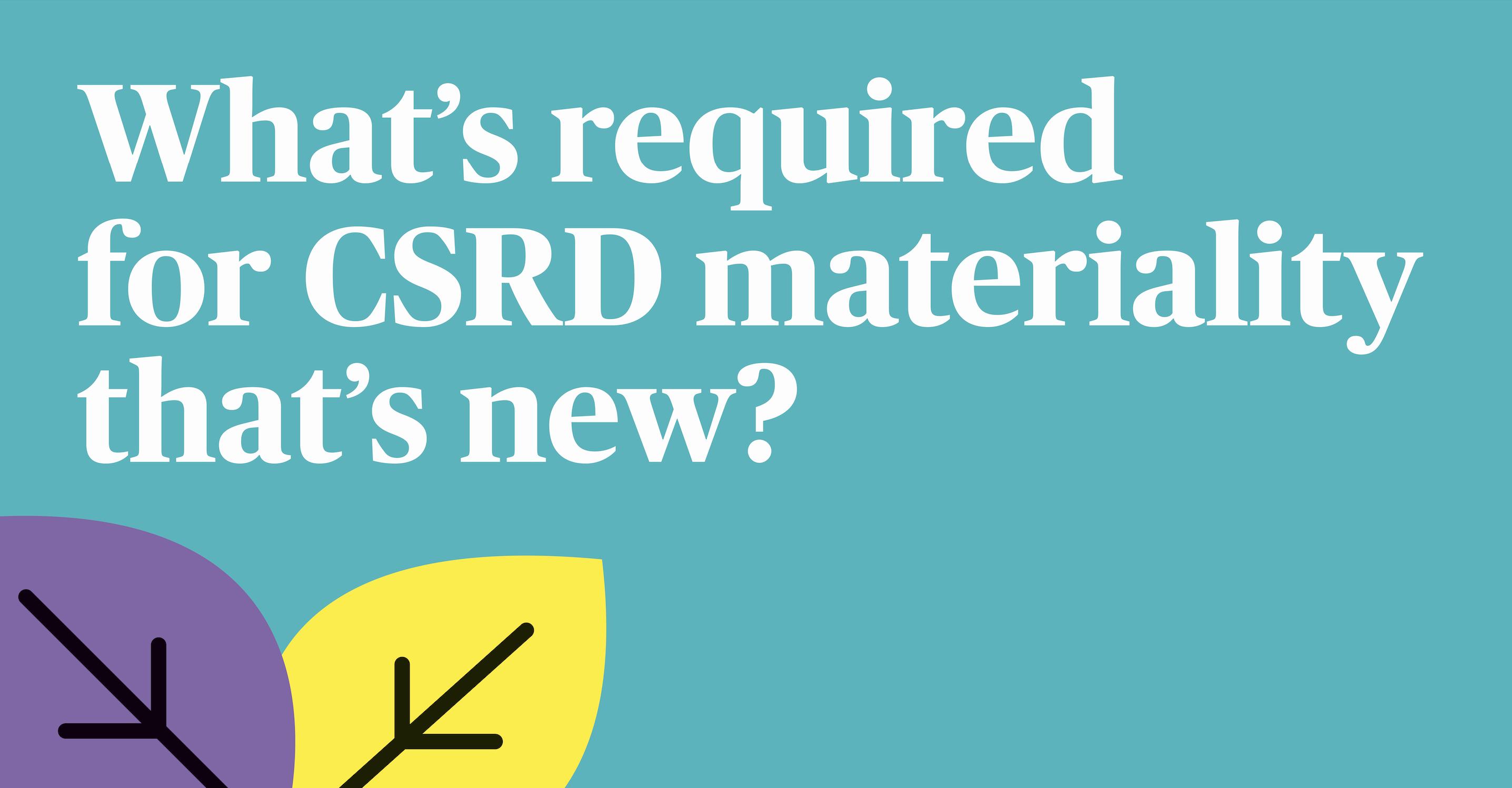 Csrd The Corporate Sustainability Reporting Directive In Brief